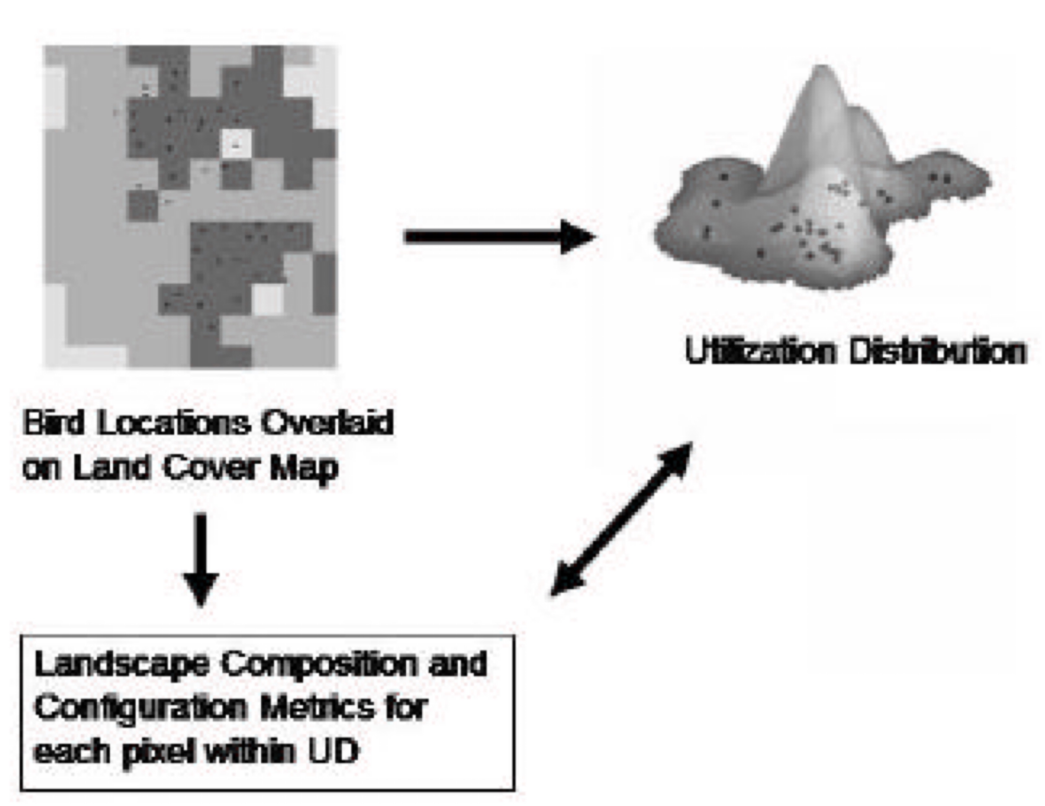 Incorporating Utilization Distributions Into The Study Of Resource Incorporating Utilization Distributions Into The Study Of Resource